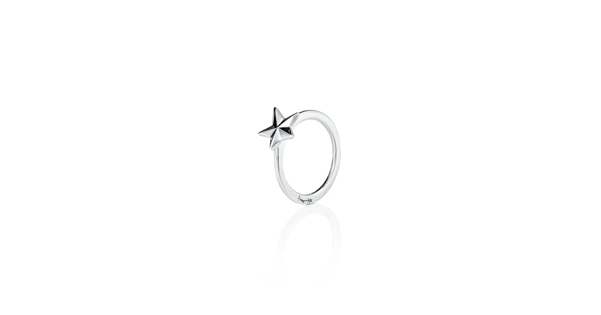 Efva Attling Catch a falling star ring i silver 13-100-01985 hos Jarl ...